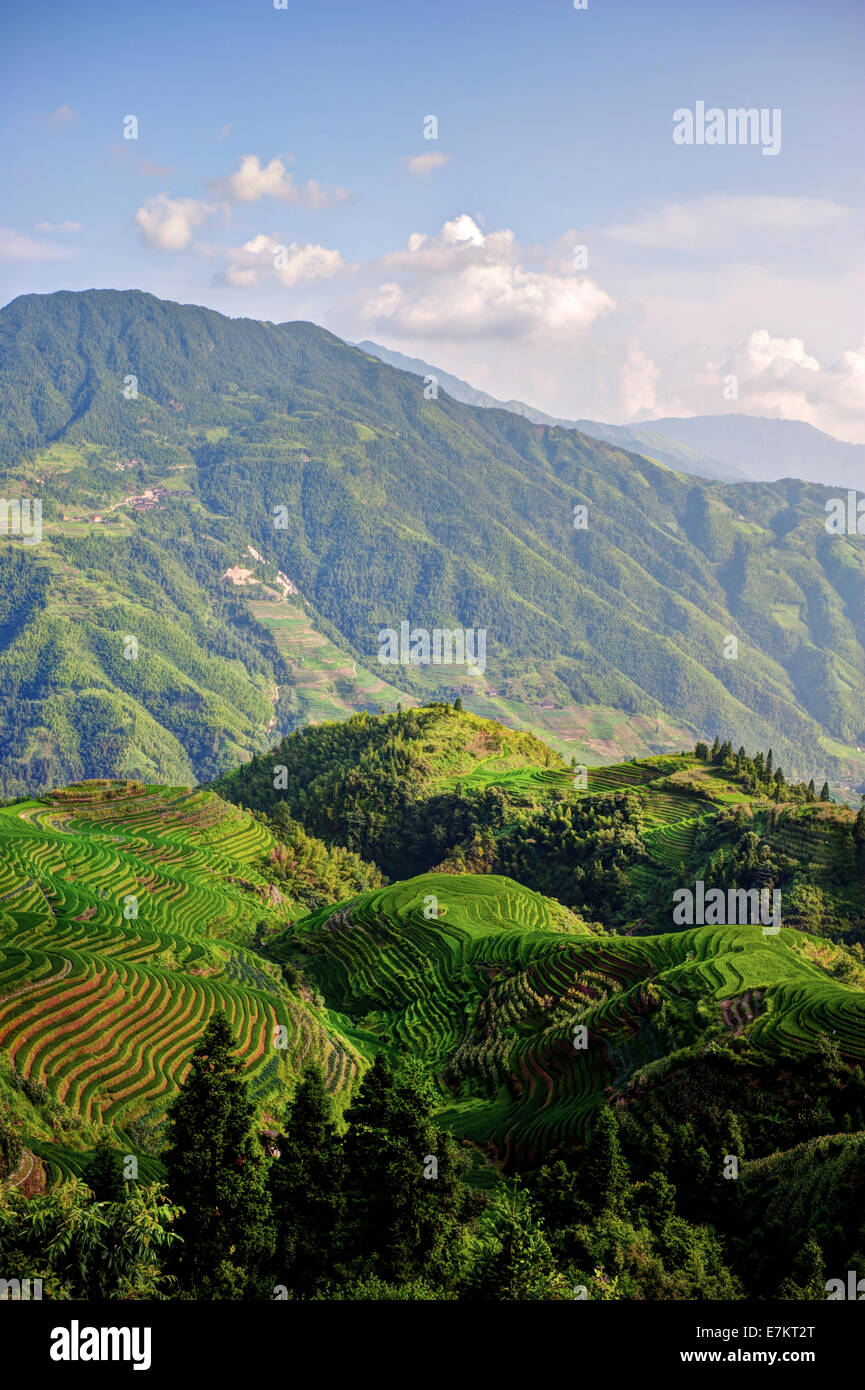 Longji rice terraces on the Dragon's Backbone, China Stock Photo - Alamy