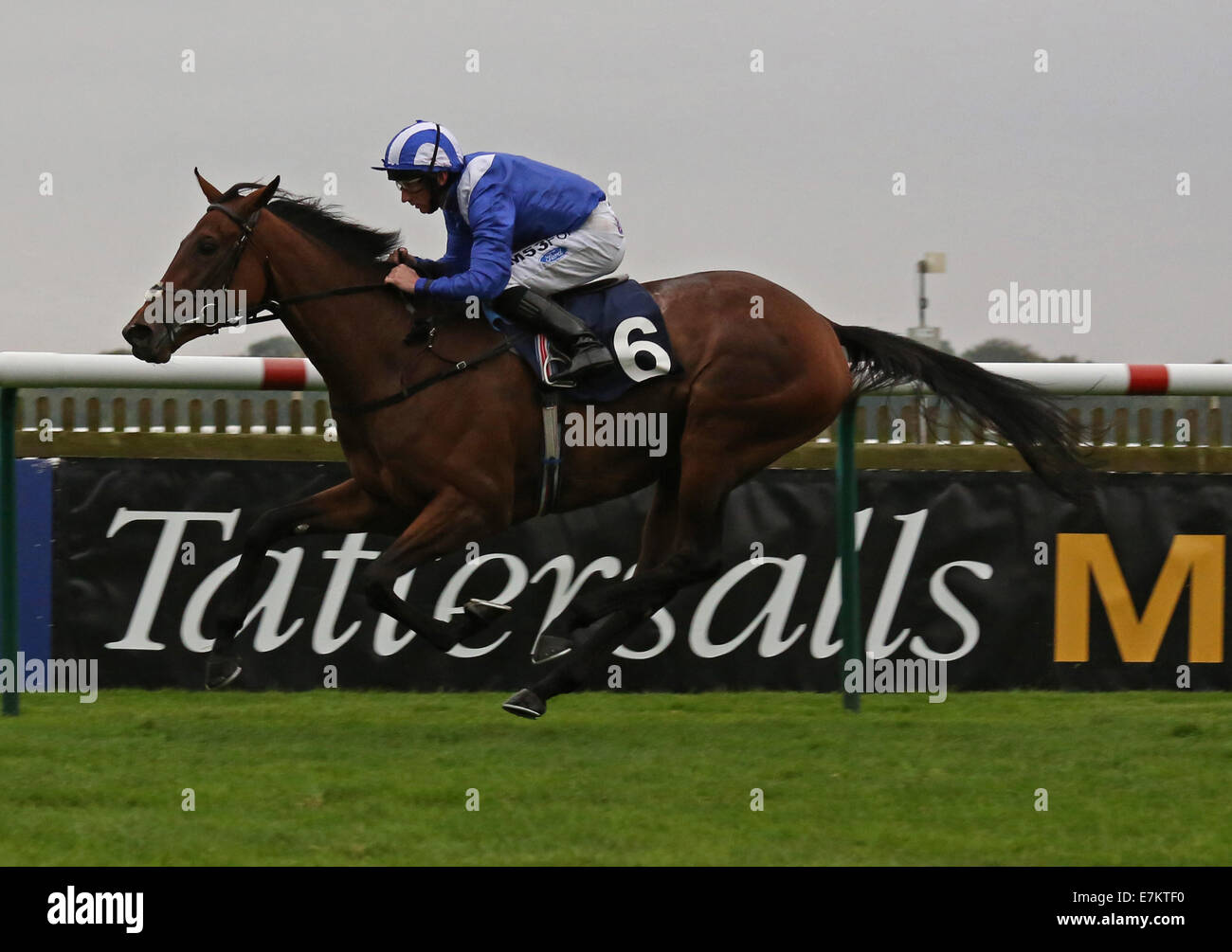 Newmarket, UK. 20th Sep, 2014. Betfred Cesarewitch Trial Day. Rewaaya ...