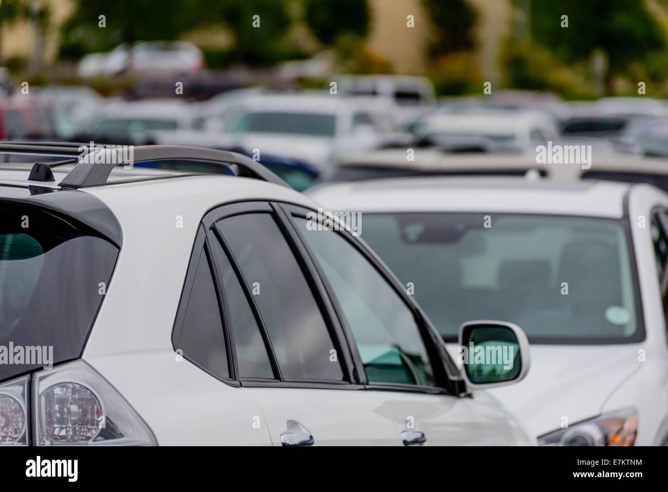 congested parking lot full of shoppers cars Stock Photo - Alamy