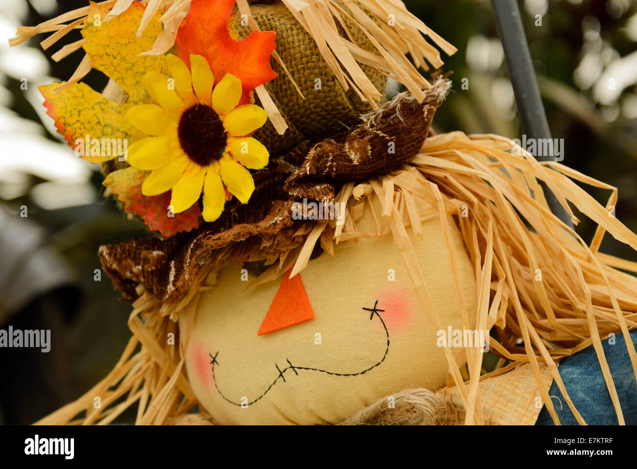 Halloween scarecrow decorations with flowers and hay Stock Photo - Alamy
