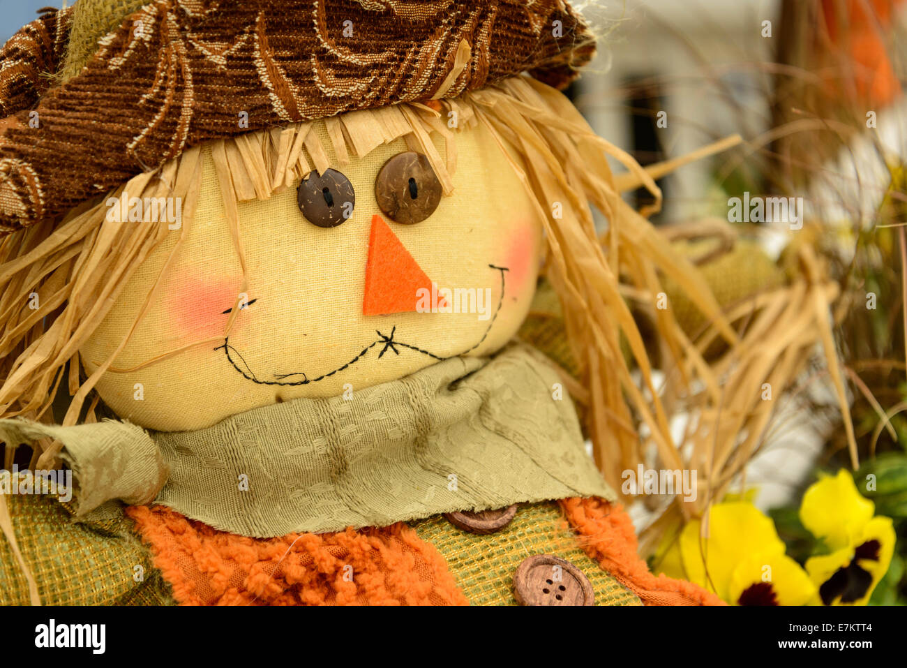 Halloween scarecrow decorations with flowers and hay Stock Photo - Alamy