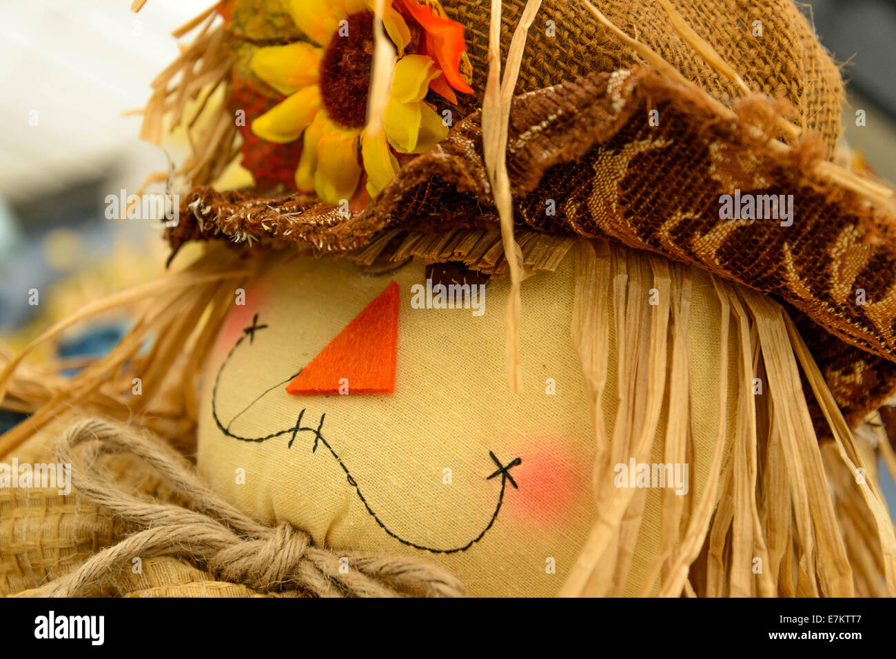 Scarecrow flowers hi-res stock photography and images - Alamy