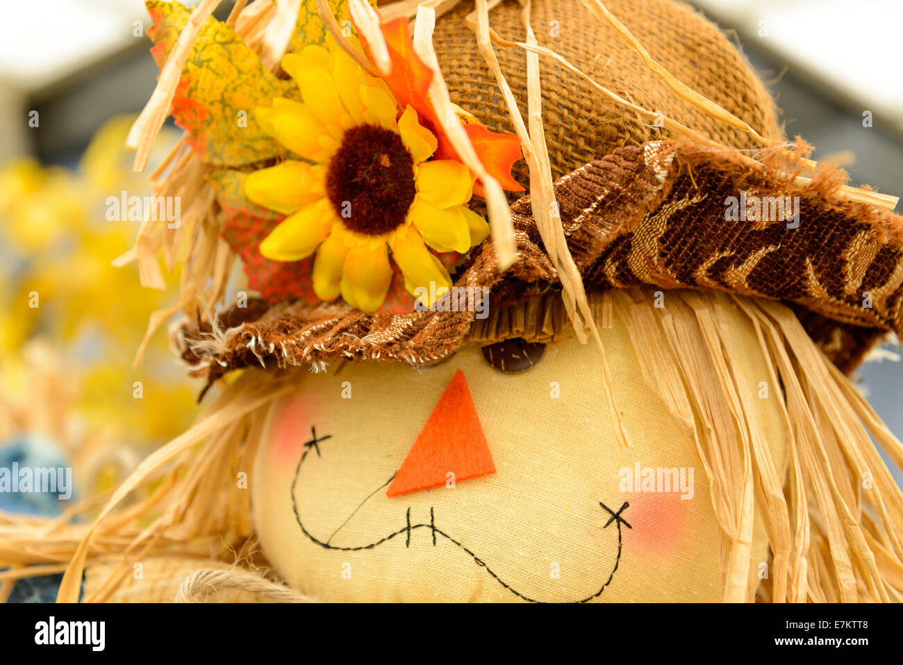 Scarecrow flowers hi-res stock photography and images - Alamy