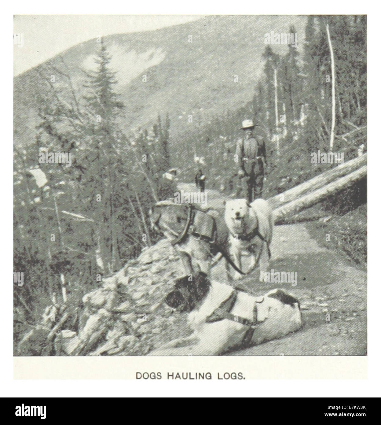 1800s logging era hi-res stock photography and images - Alamy