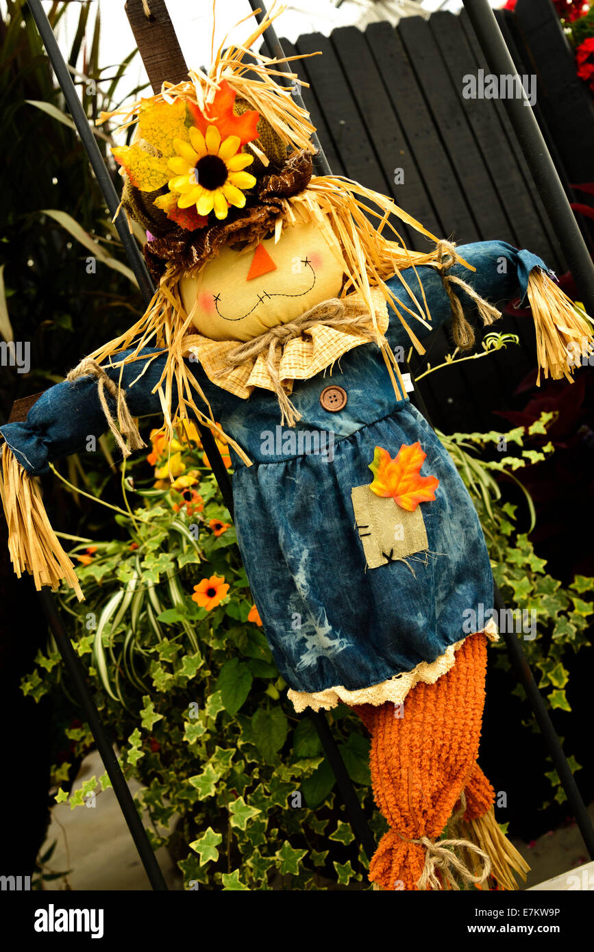 Halloween scarecrow decorations with flowers and hay Stock Photo - Alamy