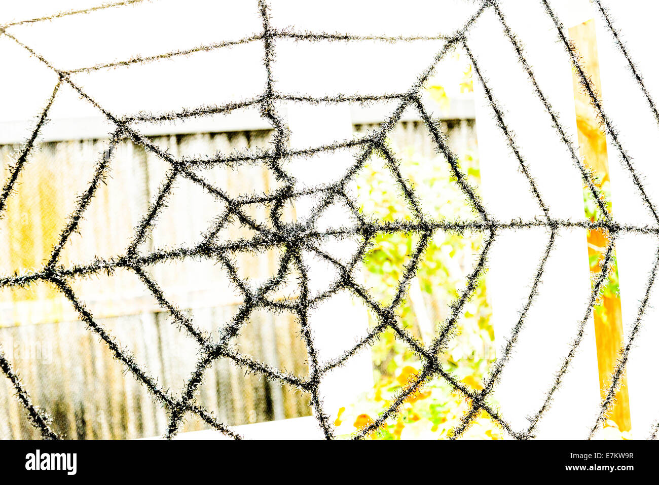 black spider web Halloween decoration Stock Photo - Alamy