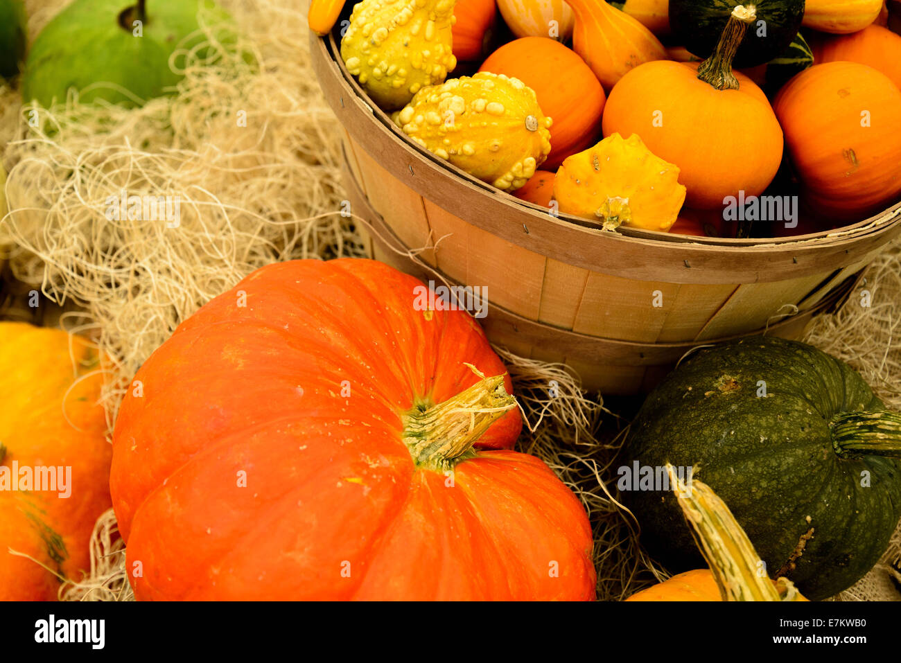 gourds of different colors and sizes Stock Photo - Alamy