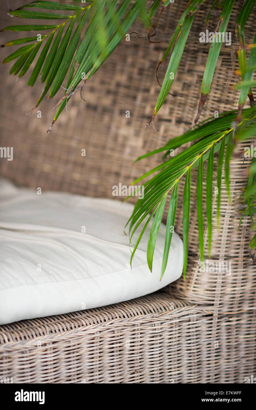 natural rattan materials furniture detail with plant Stock Photo - Alamy