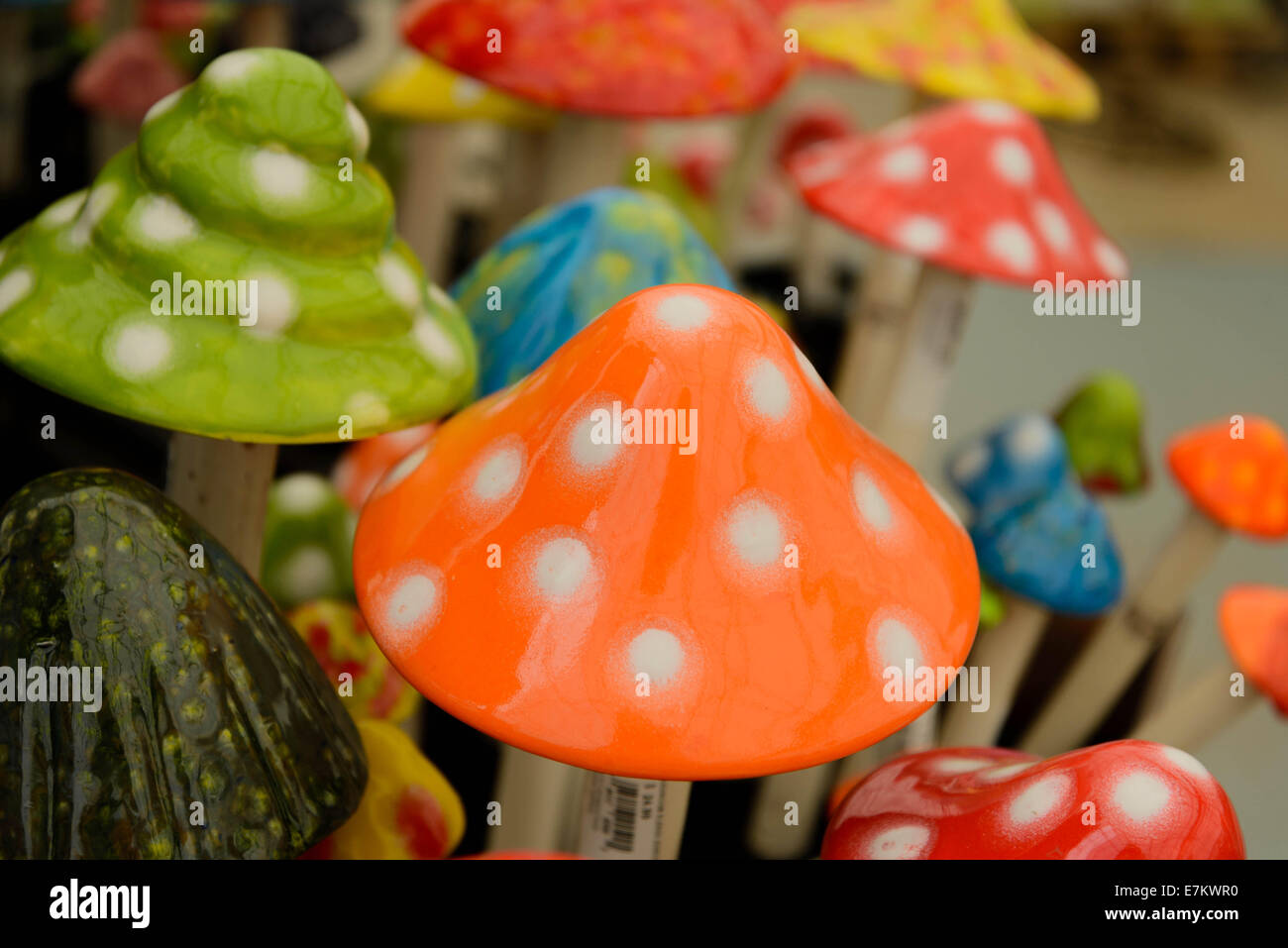 vibrant colorful ceramic mushroom caps Stock Photo - Alamy