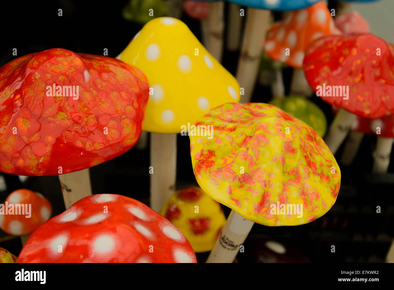 vibrant colorful ceramic mushroom caps Stock Photo - Alamy
