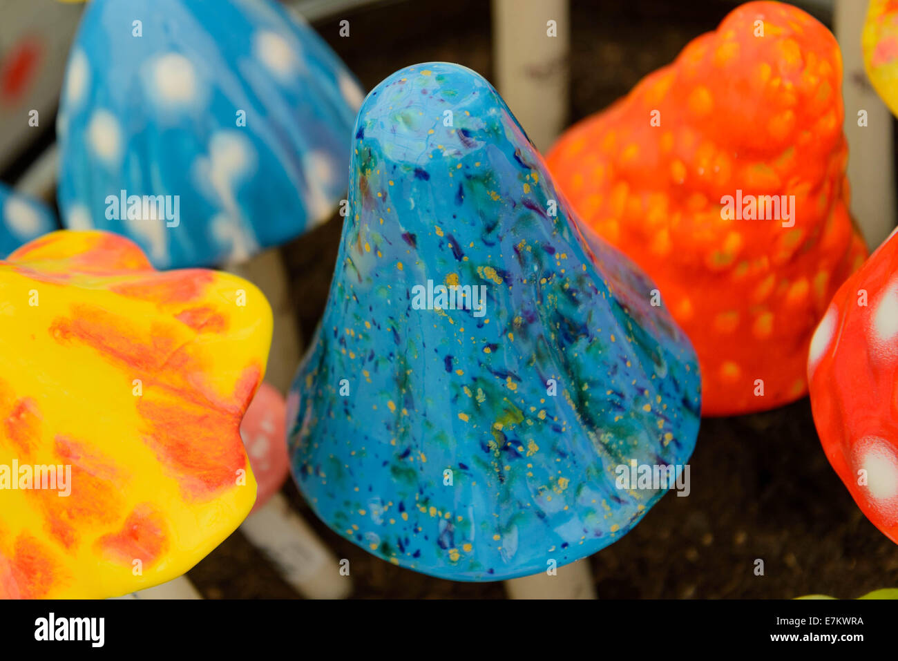 vibrant colorful ceramic mushroom caps Stock Photo - Alamy