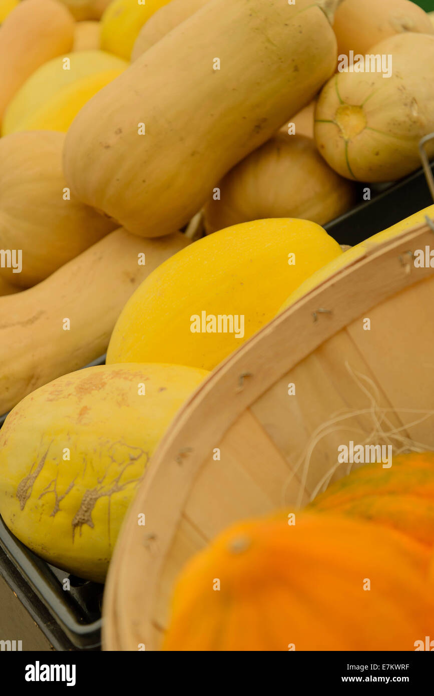 Fresh yellow squash hi-res stock photography and images - Alamy