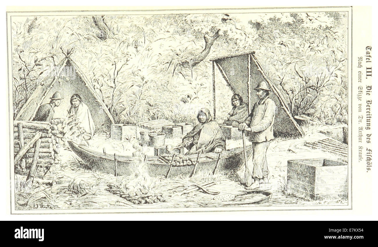 An 1885 illustration by Krause showing the preparation of fish oil, a ...