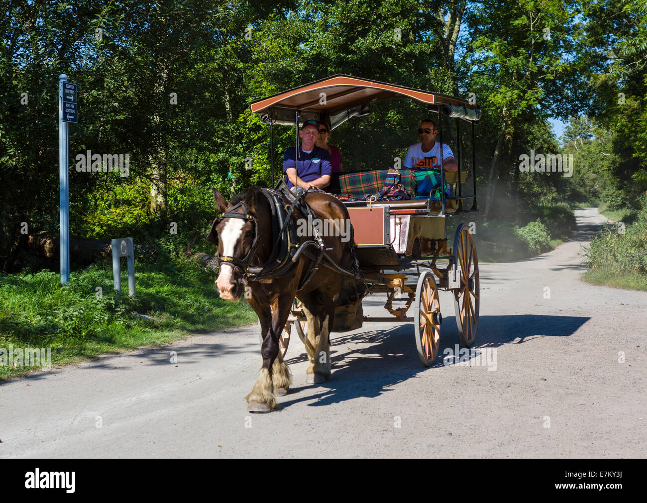 Traditional carriage ride High Resolution Stock Photography and Images ...