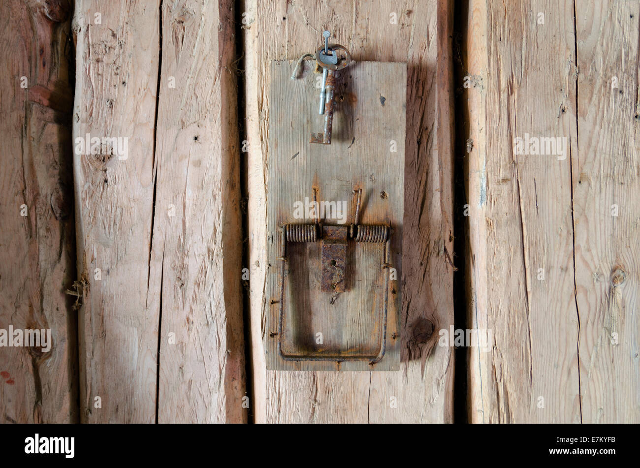 Spring trap hi-res stock photography and images - Alamy