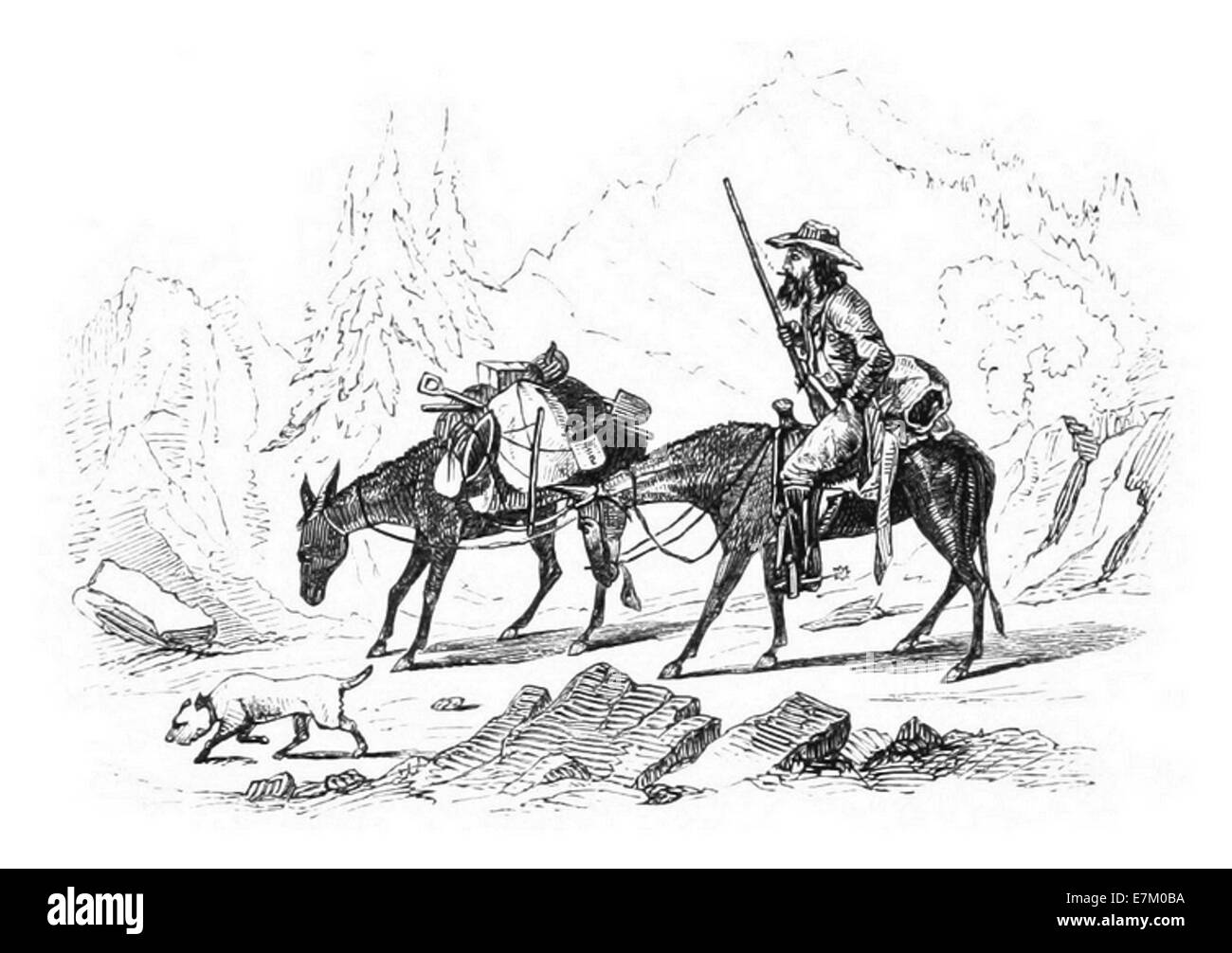 An 1855 drawing by Maryatt depicting a prospector, capturing the life ...