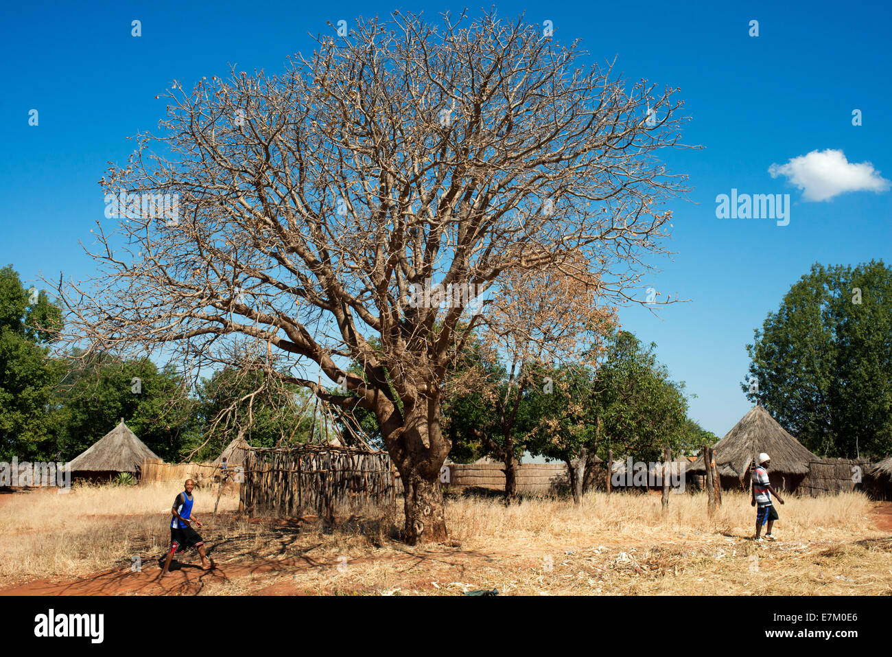 Landscape of Mukuni Village with some houses. As one drives through the ...