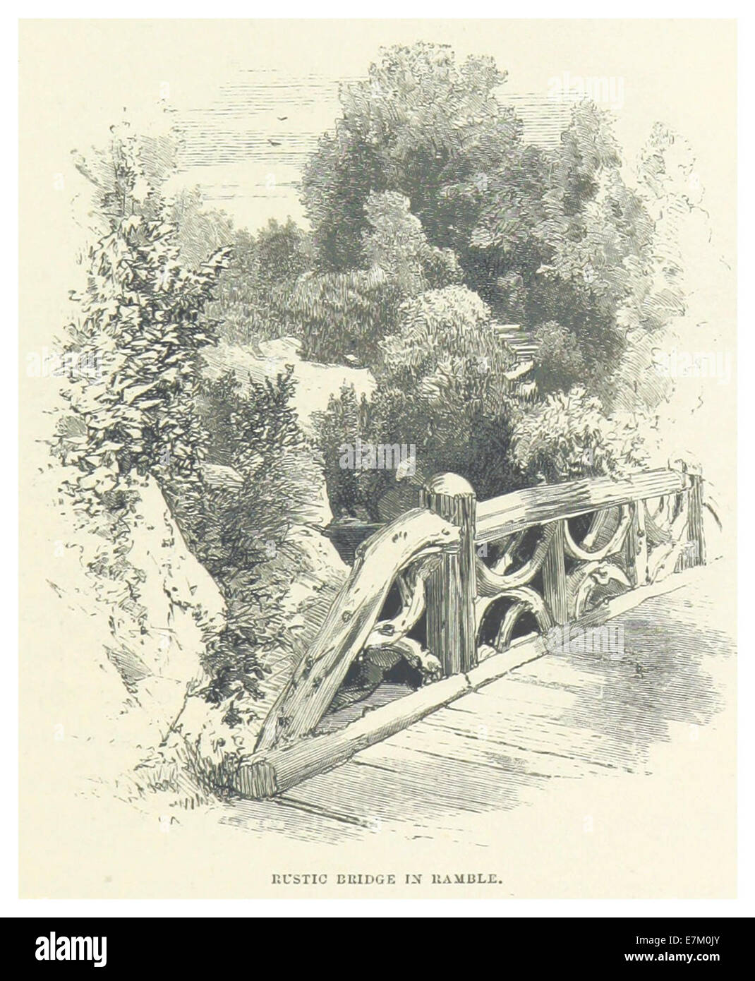A map sketch from 1869, depicting the rustic bridge in the Ramble, a ...