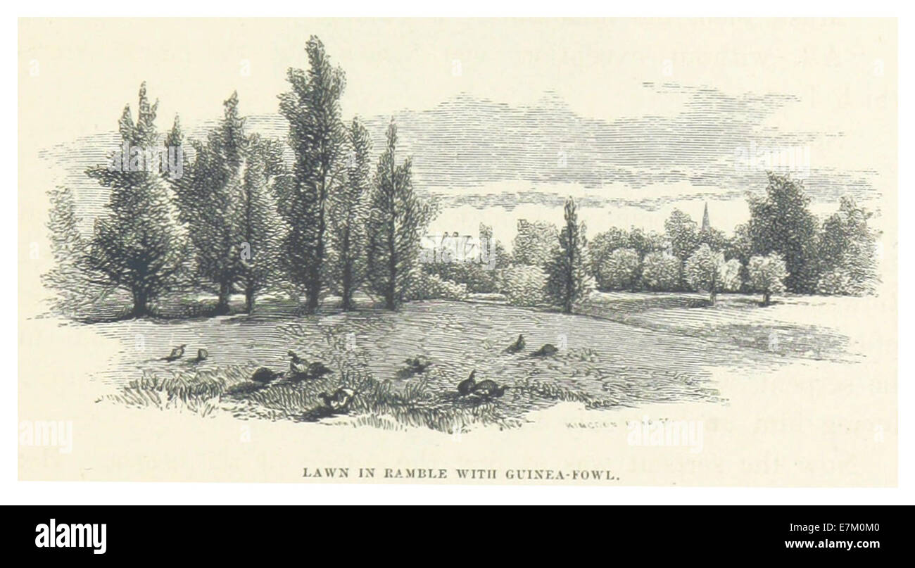 NYC-CentralPark (1869) p161 Lawn in Ramble, with Guinea Fowl Stock ...