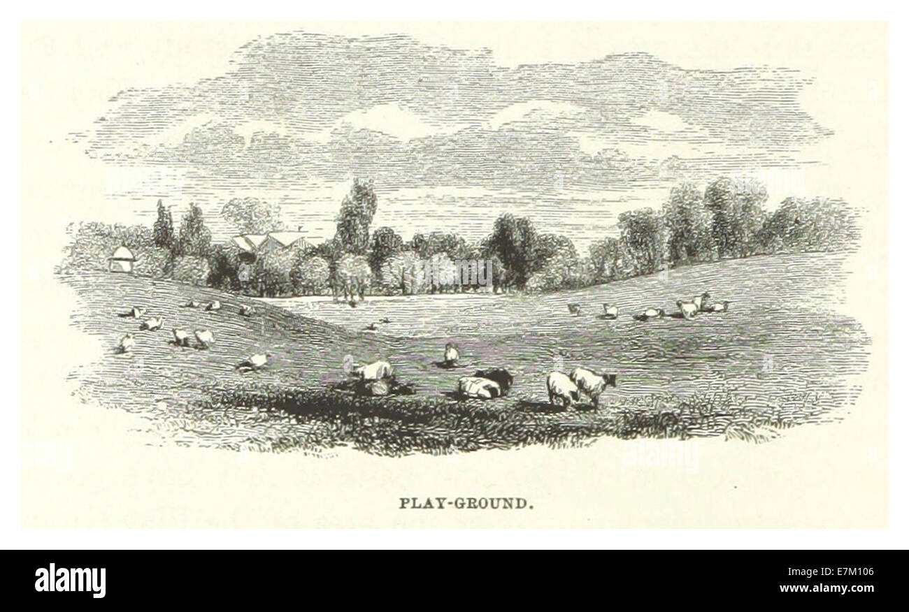 This 1869 illustration of Central Park in New York City shows one of ...