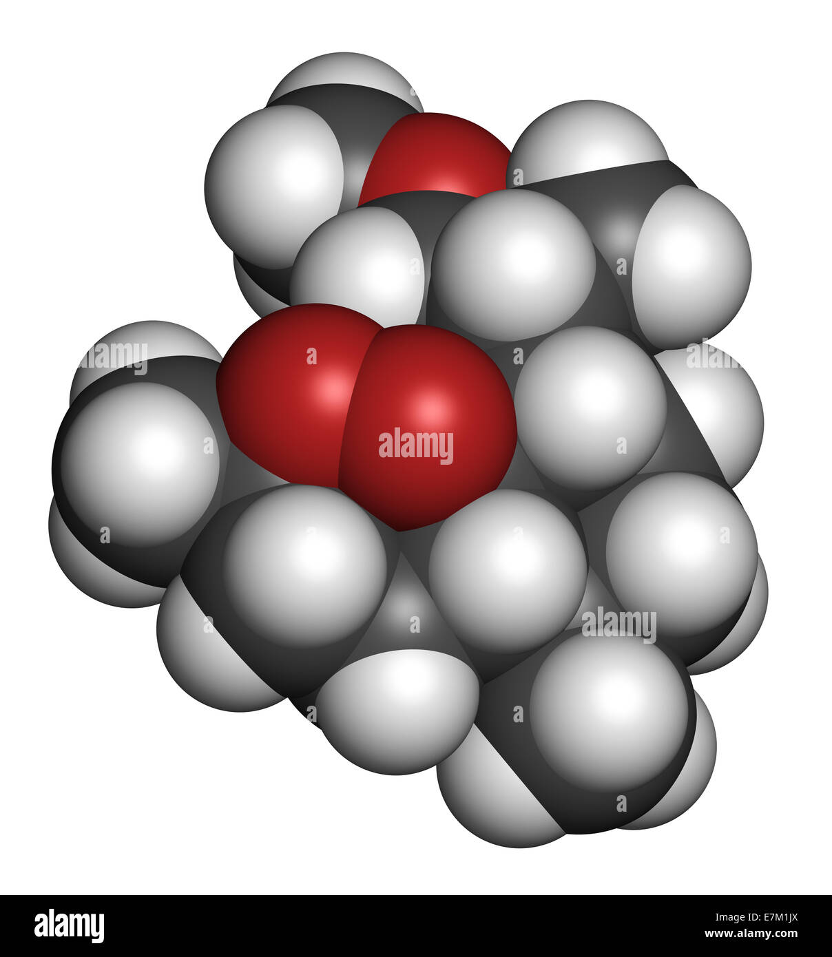 Parasite plasmodium vivax hi-res stock photography and images - Alamy