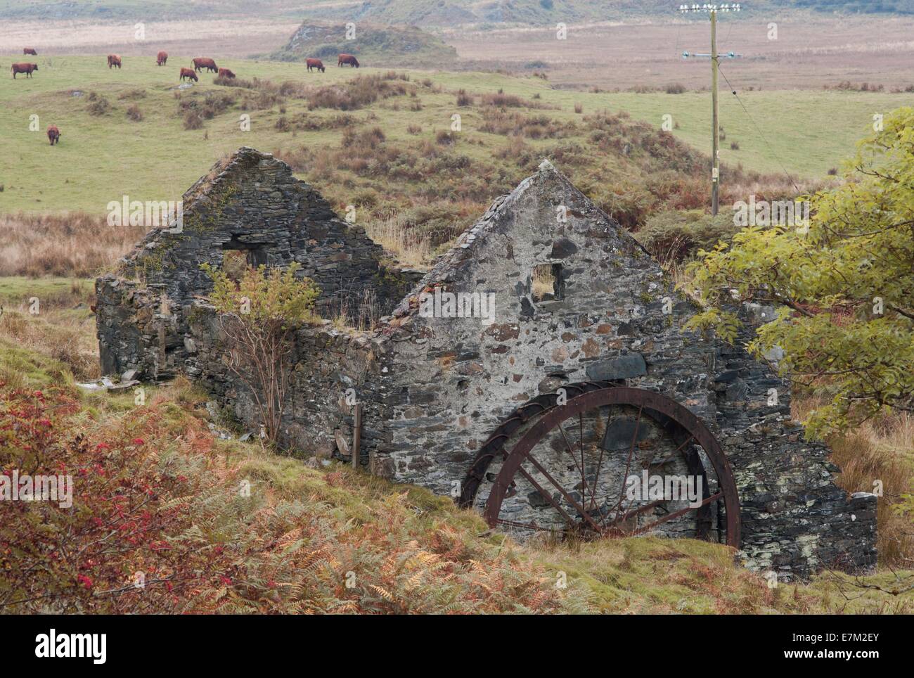 Ruined watermill, near Achfolla, Isle of Luing near to Toberonochy ...