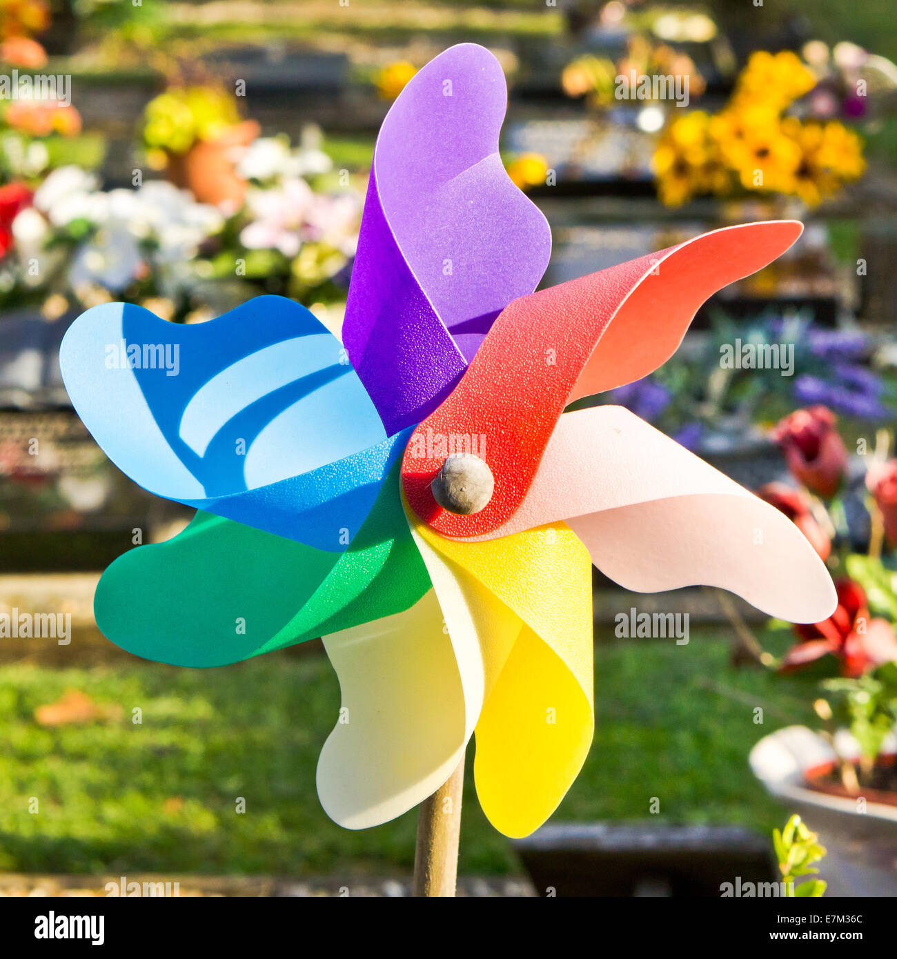 A colorful toy windmill in a garden Stock Photo - Alamy