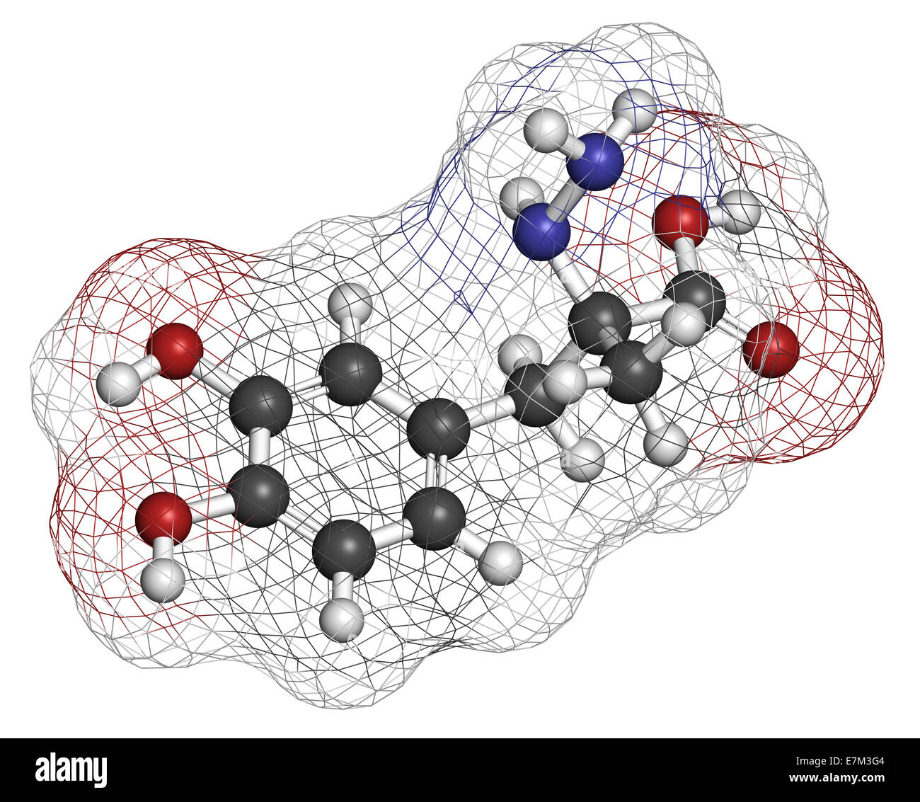 Carbidopa Parkinson's Disease drug. Prevents peripheral breakdown of ...