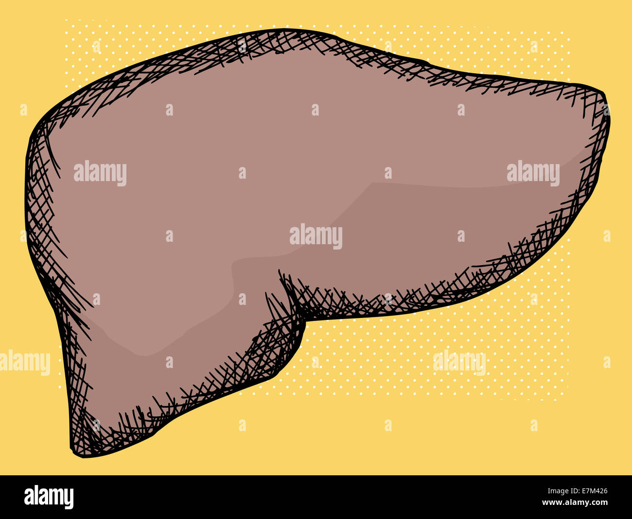Human liver cartoon over yellow halftone background Stock Photo - Alamy