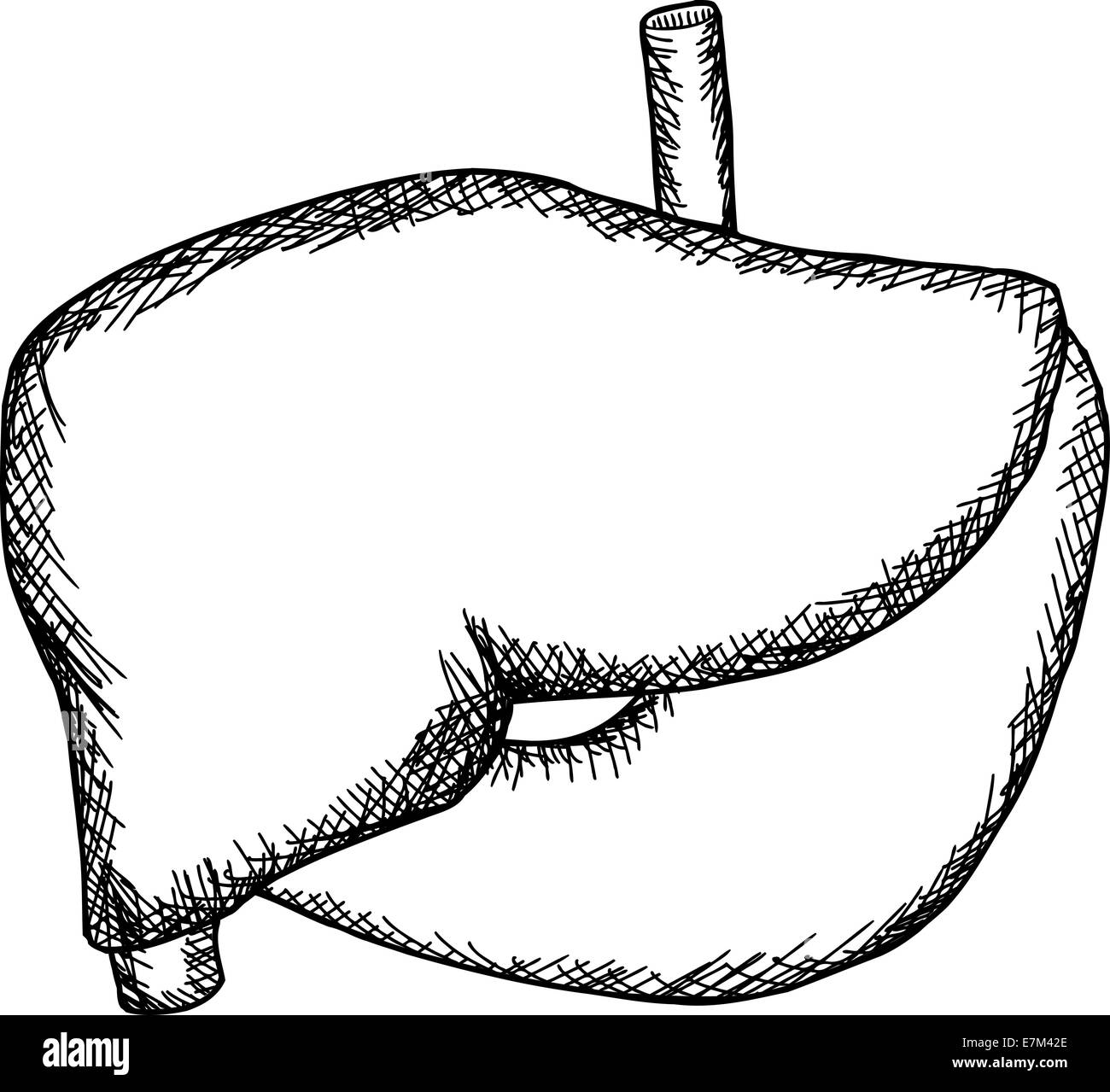 hand drawn black outline of stomach and liver Stock Photo - Alamy
