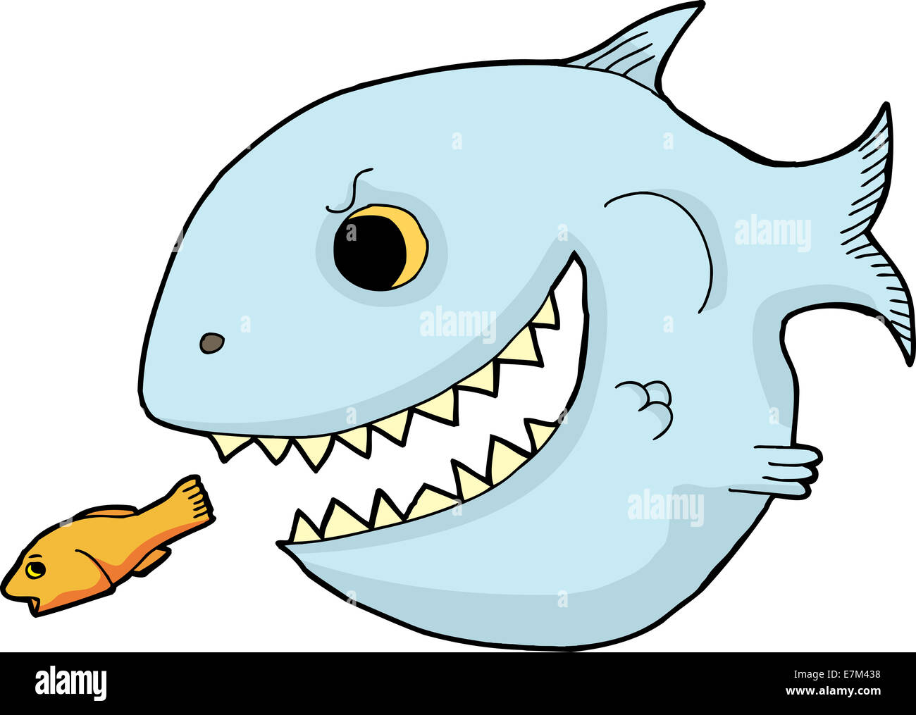 Isolated predator fish trying to eat a little goldfish Stock Photo - Alamy