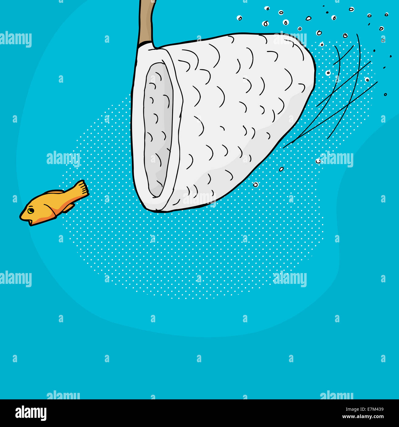 Scared goldfish trying to escape net underwater Stock Photo - Alamy