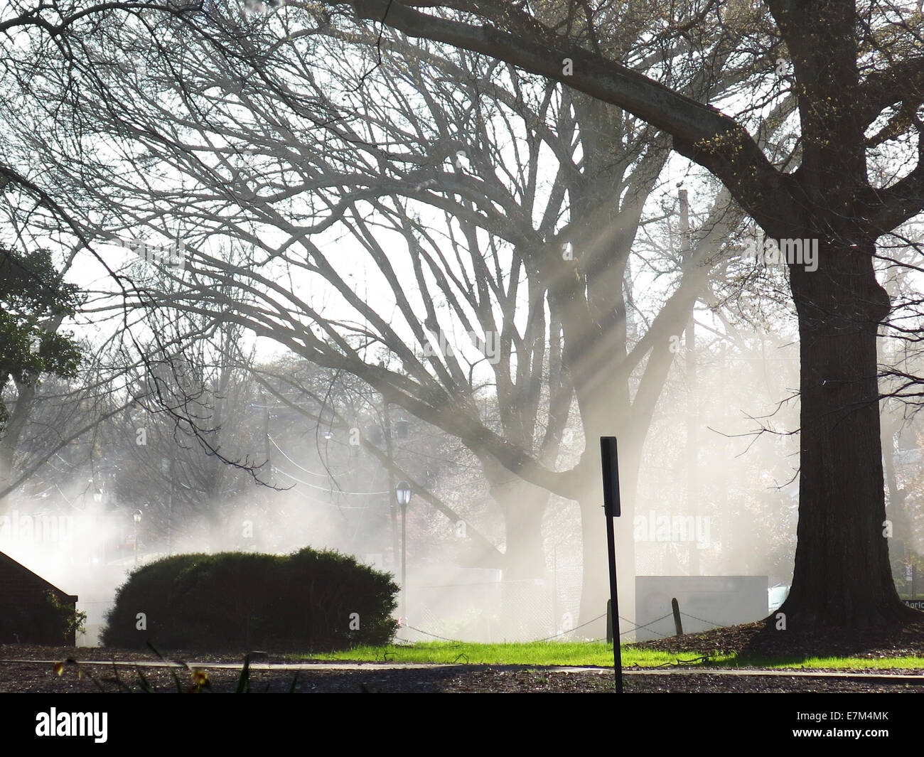 Fog beams hi-res stock photography and images - Alamy