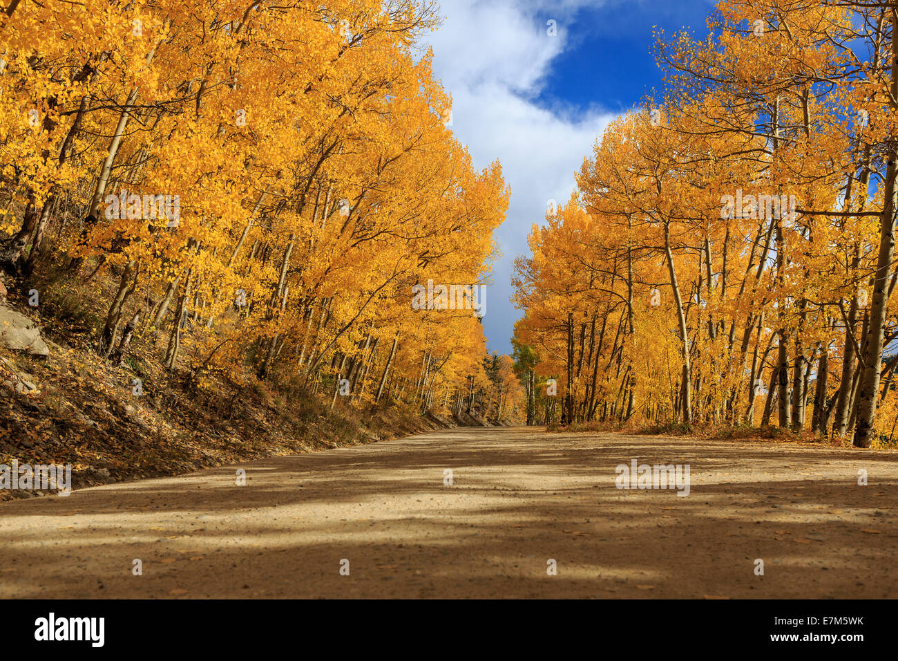 Como Boreas Pass, Colorado USA. 20 September 2014. Fall colors in the ...