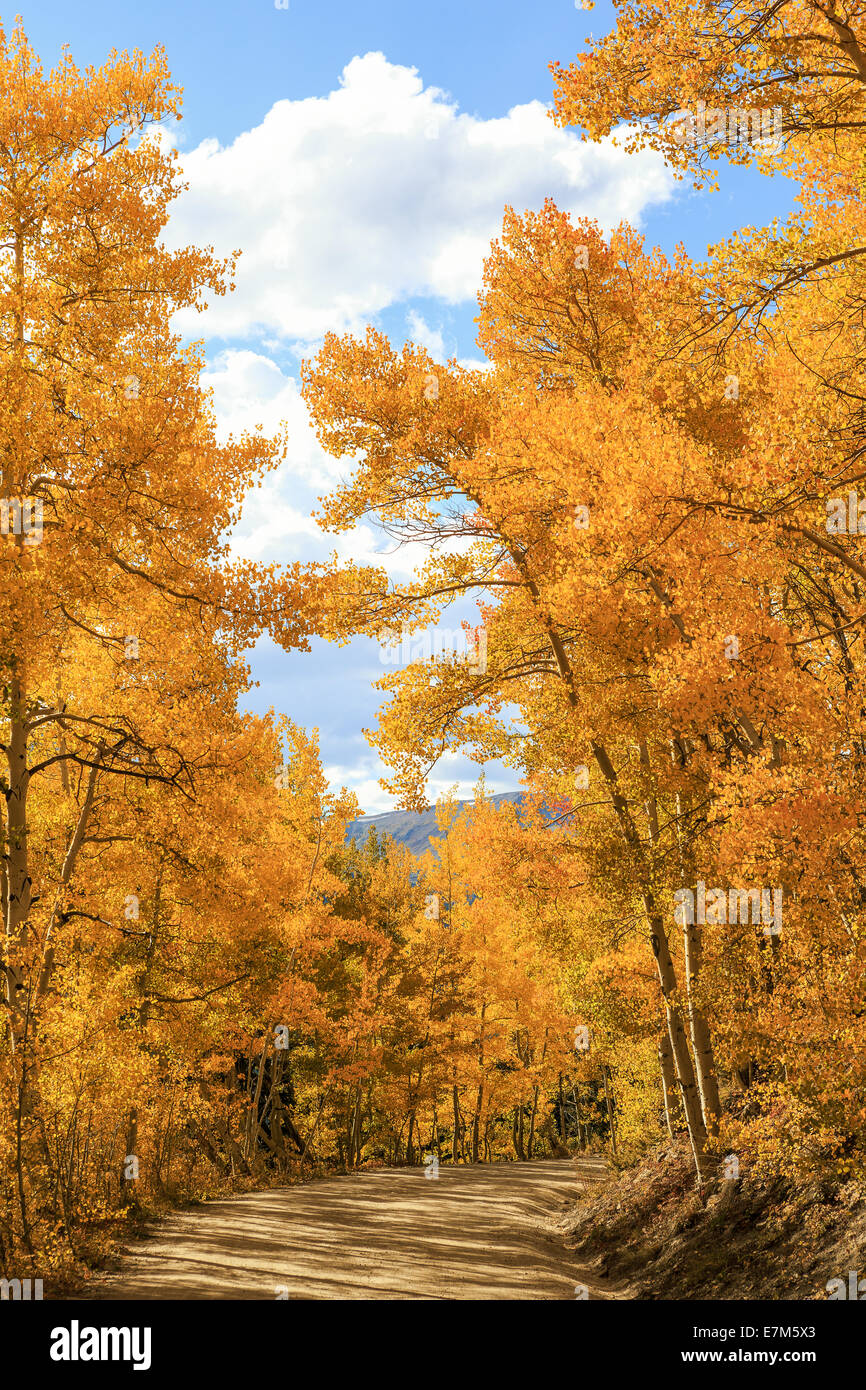 Como Boreas Pass, Colorado USA. 20 September 2014. Fall colors in the ...
