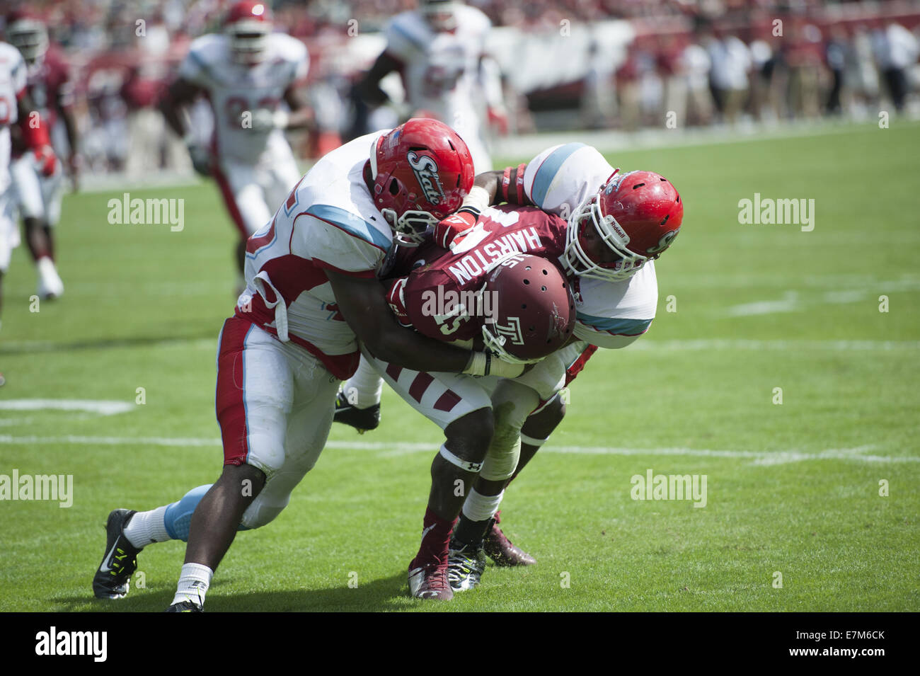 Philadelphia, Pennsylvania, USA. 20th Sep, 2014. Temple WR, NATE ...