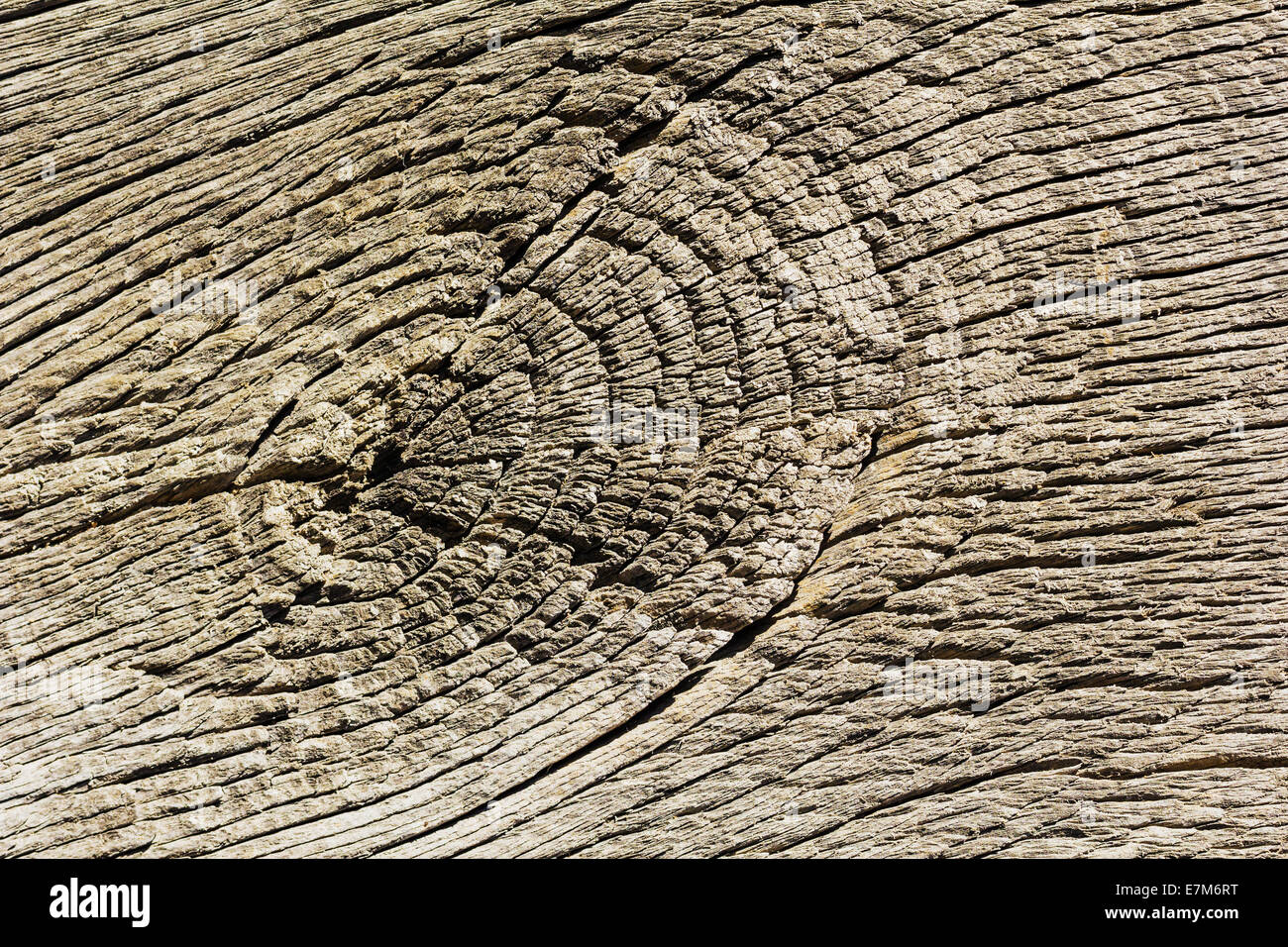 Wood texture background, wooden plank old grain board Stock Photo - Alamy