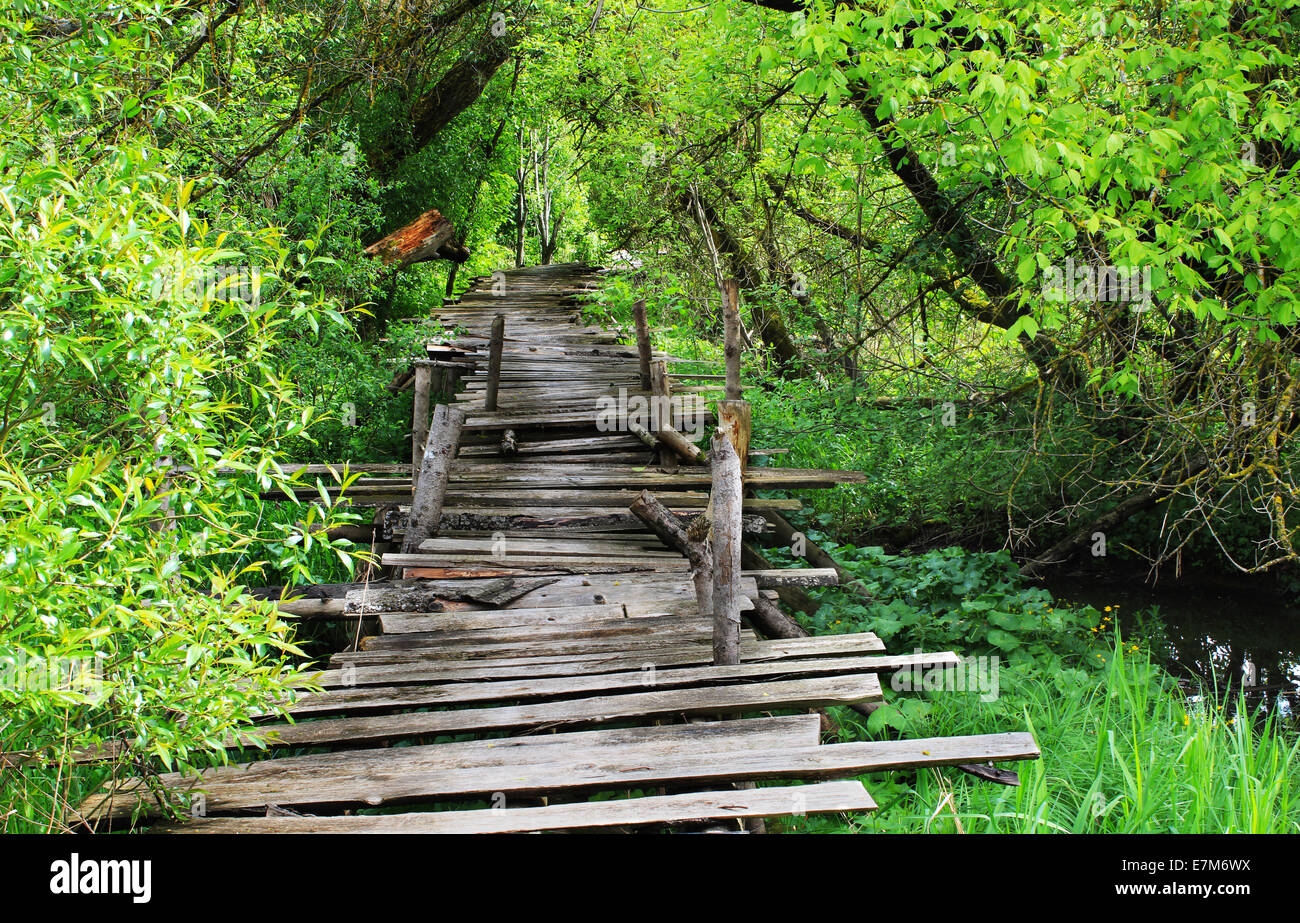 Broken wooden bridge hi-res stock photography and images - Alamy