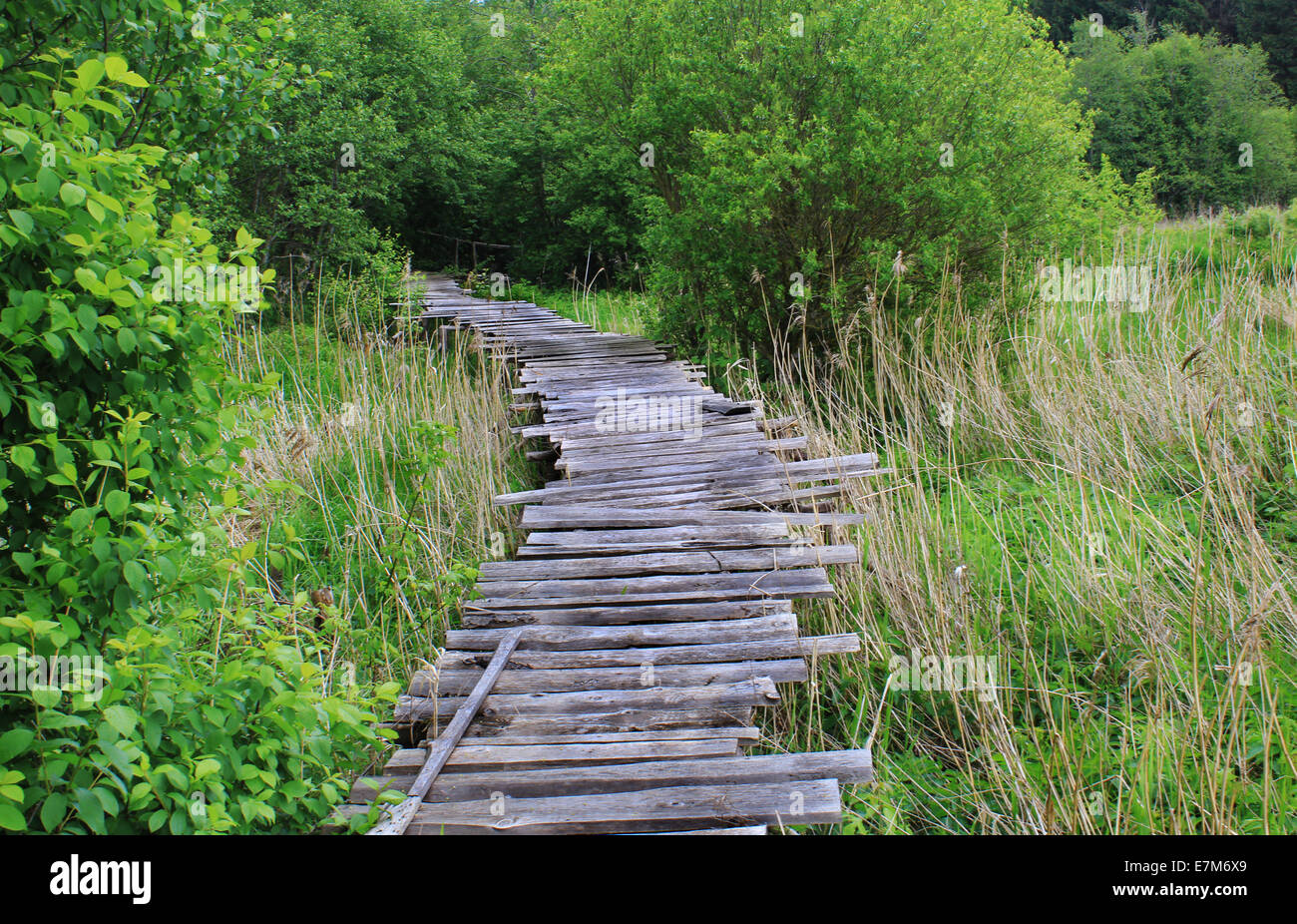 Dangerous if broken wooden bridge on foot Stock Photo - Alamy