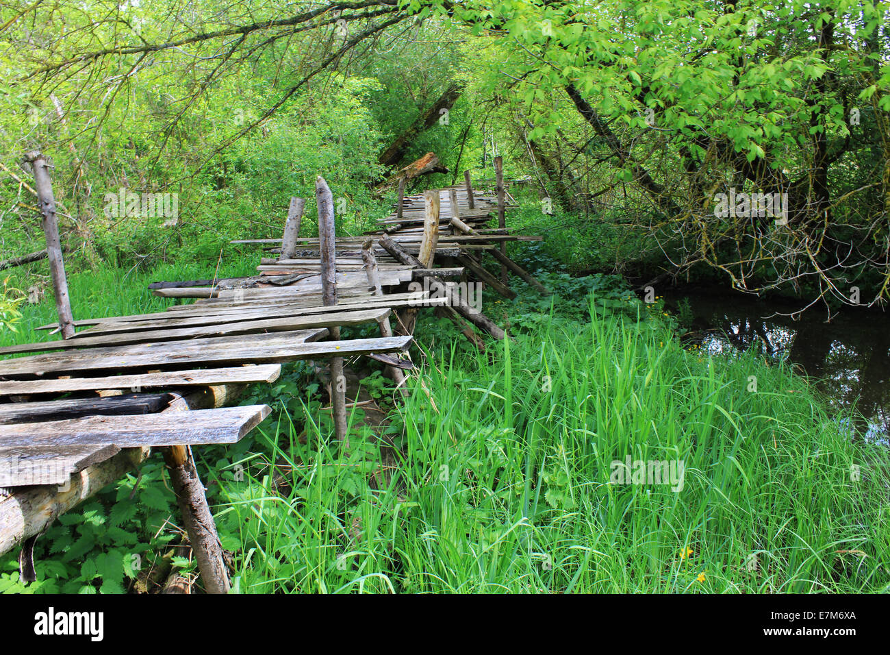 Dangerous if broken wooden bridge on foot Stock Photo - Alamy