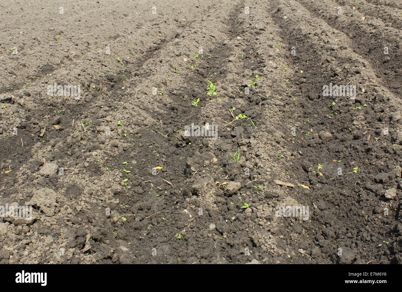 Earth tillage hi-res stock photography and images - Alamy