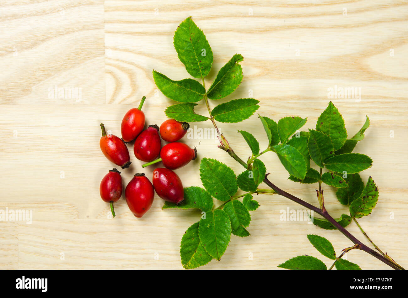 Rosehip berries with green leaves at a bright wooden surface Stock ...