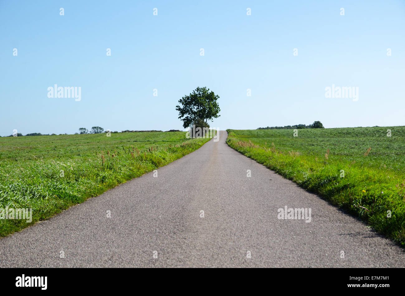 Landscape with an asphalt country road through green fields Stock Photo ...