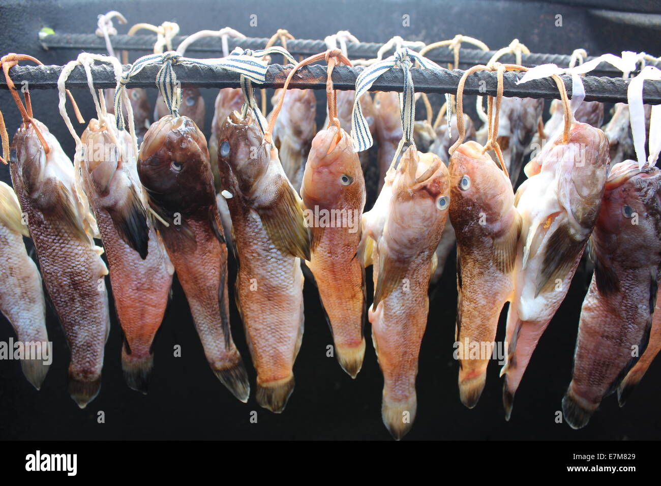 Smoking Fish Chicken