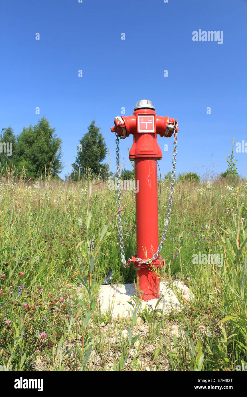 Fire hydrant in overgrown grass Stock Photo - Alamy