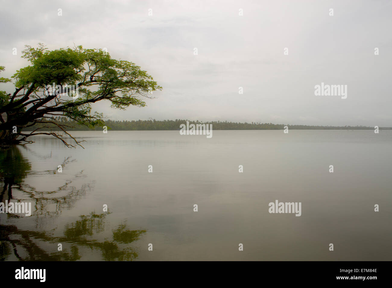 Awesome nature reserve lake hi-res stock photography and images - Alamy
