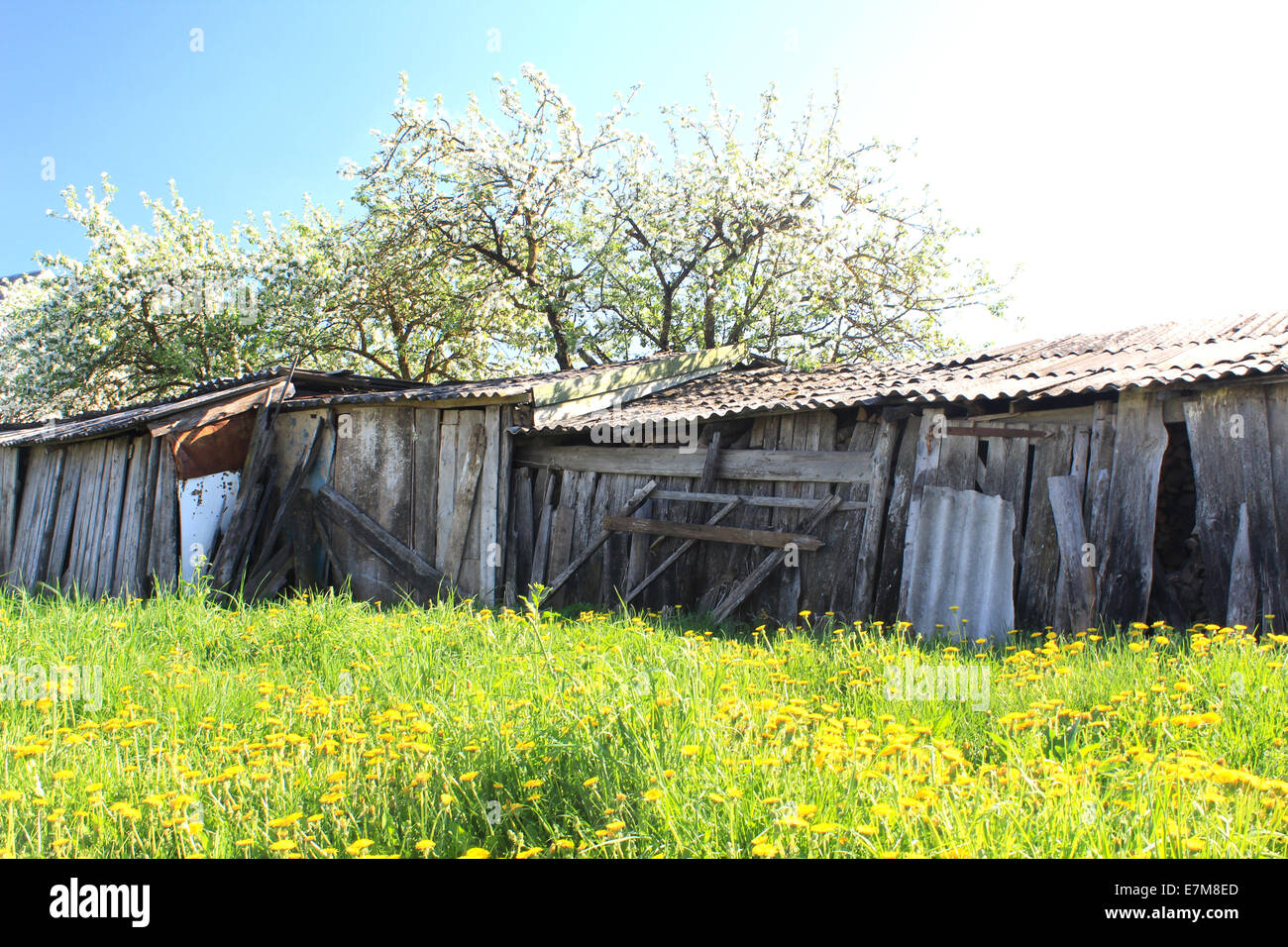 Abandoned buildings in spring Stock Photo - Alamy