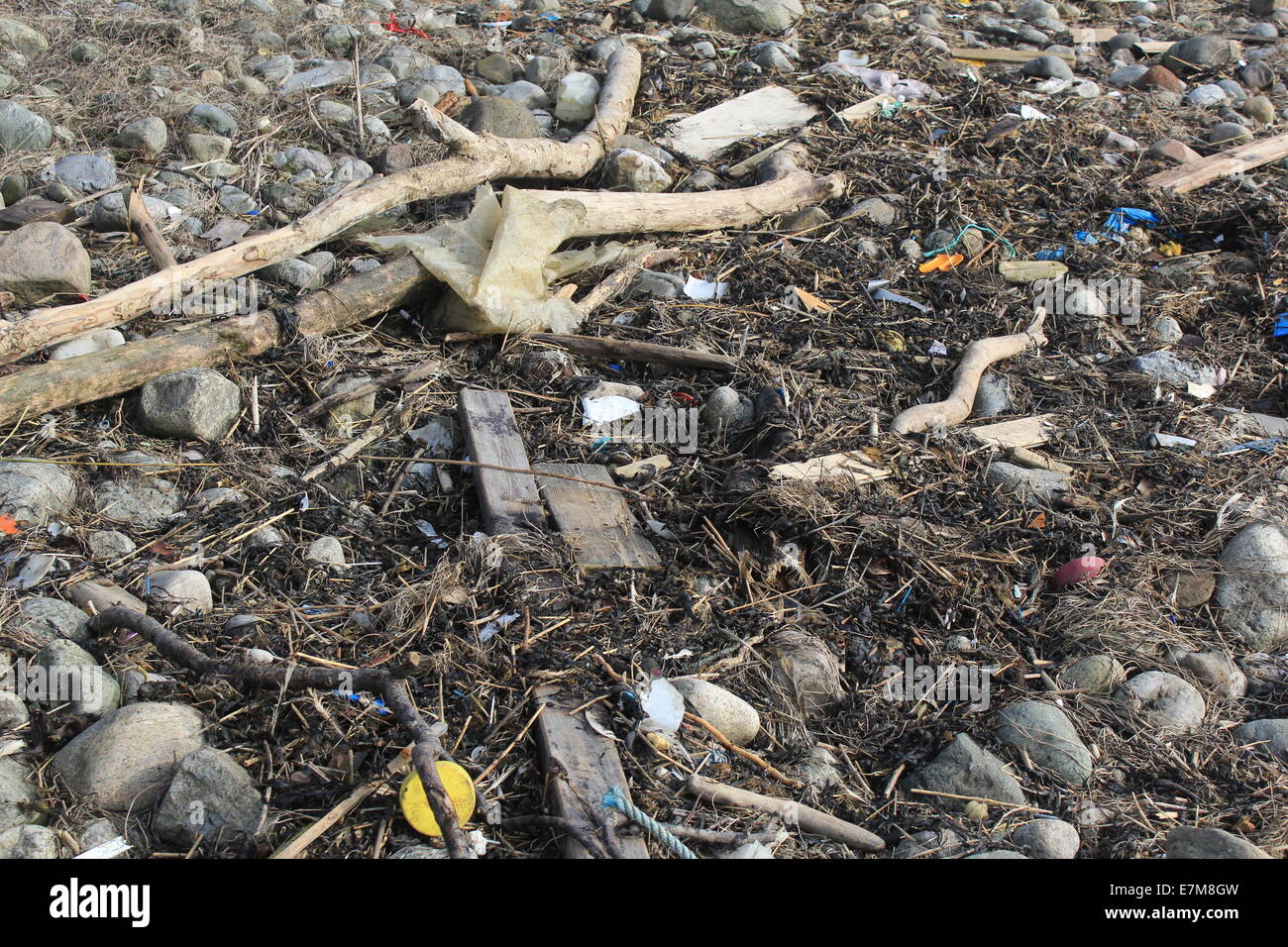 Trash in nature Stock Photo - Alamy