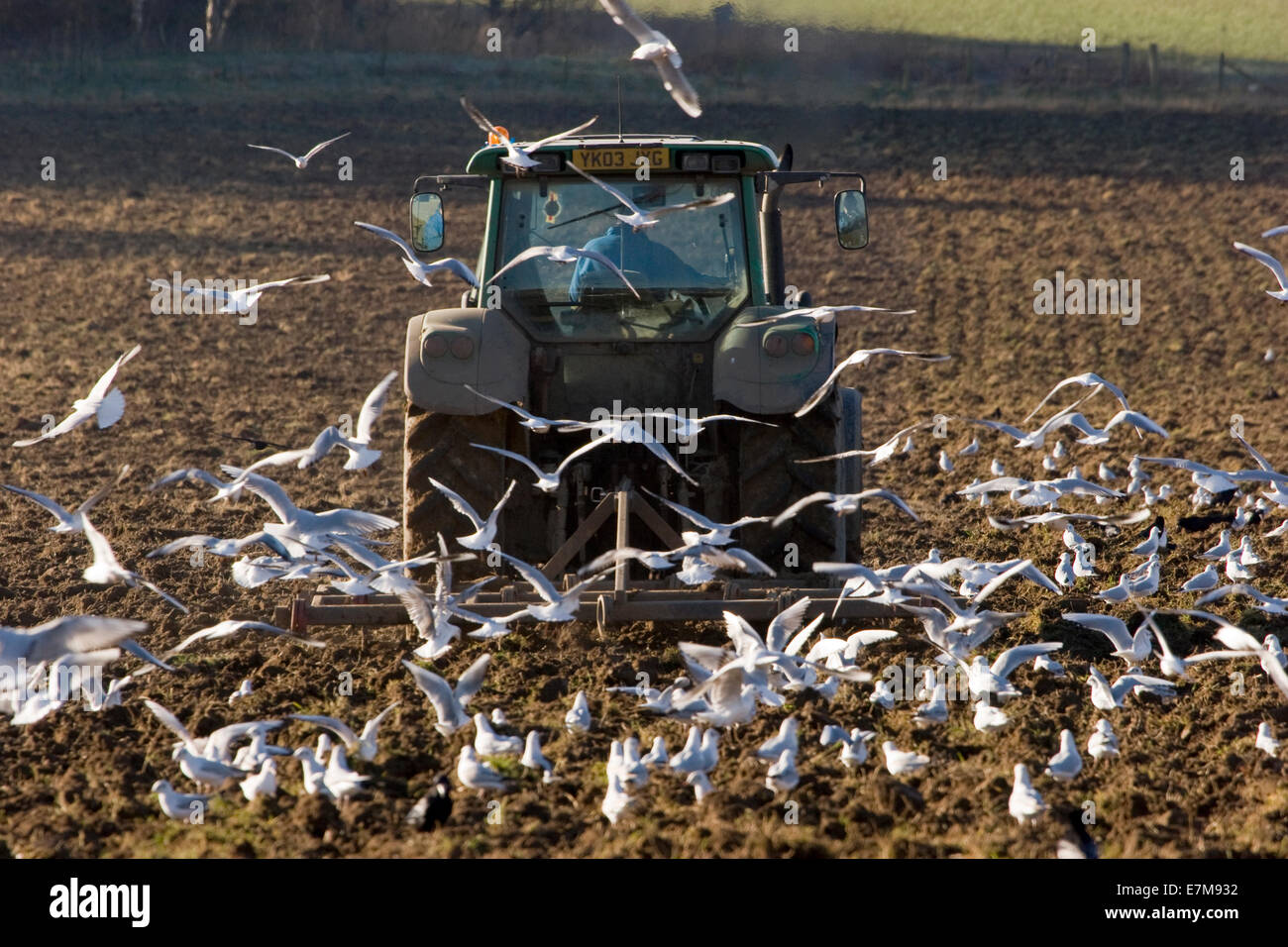 Ploughing farm hi-res stock photography and images - Alamy