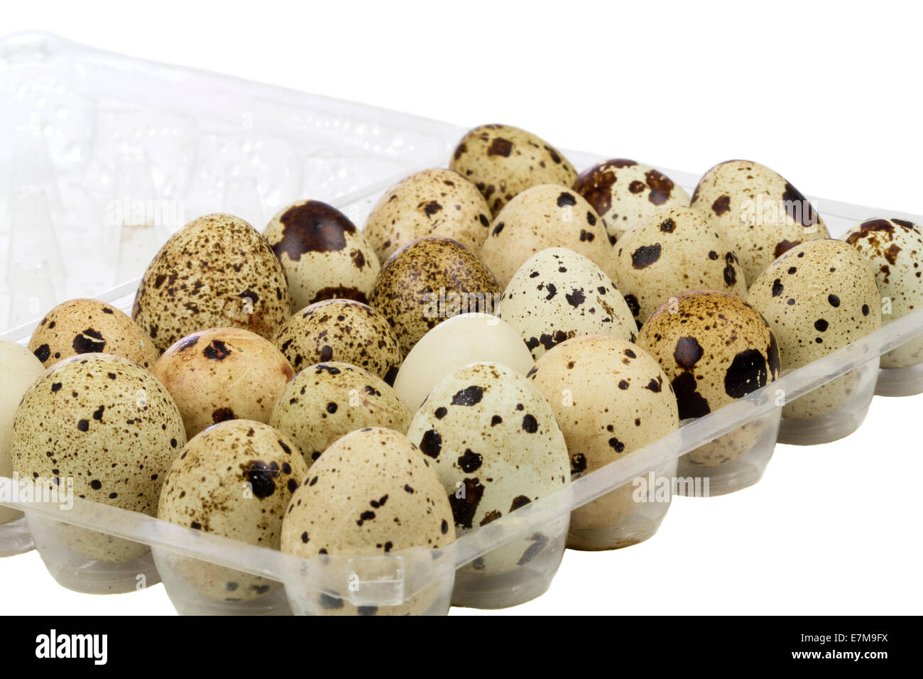 Quail eggs. Photos isolated on white background Stock Photo - Alamy